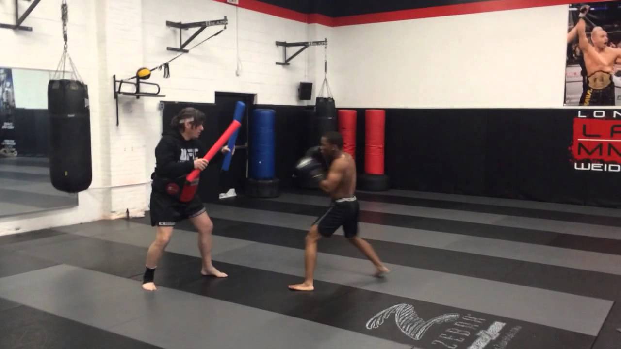 Kickboxing Training w Noodles - YouTube