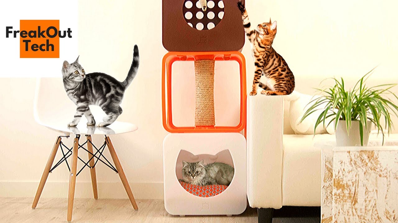 5 Wonderful Cat Gadgets You Never Knew About - YouTube