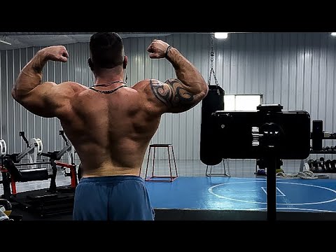 Week 9 | shoulders, back & a wee bit of chest | this had me feeling ...