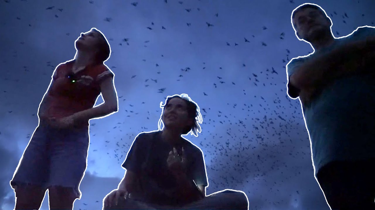 15 Million Bats! Viewing The Bat Tornado Again🦇🌪️ - 6/17/24 - YouTube