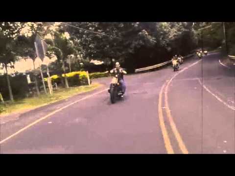 Dogs Patch-In.m4v - YouTube