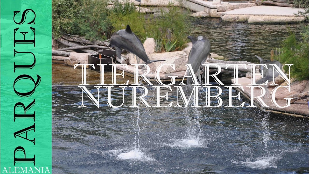 Visita al Zoo Tiergarten Nuremberg | Alemania - YouTube