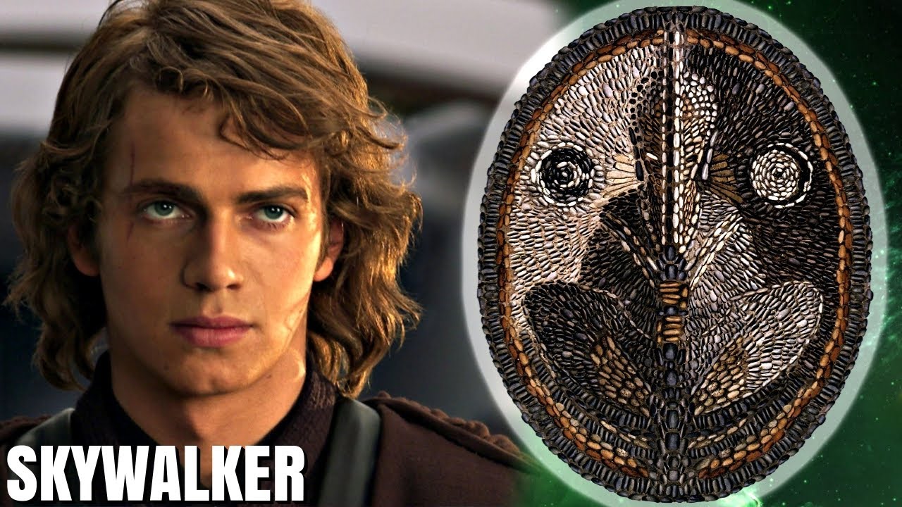 Disney CONFIRMS The FIRST Jedi Was a Skywalker - YouTube