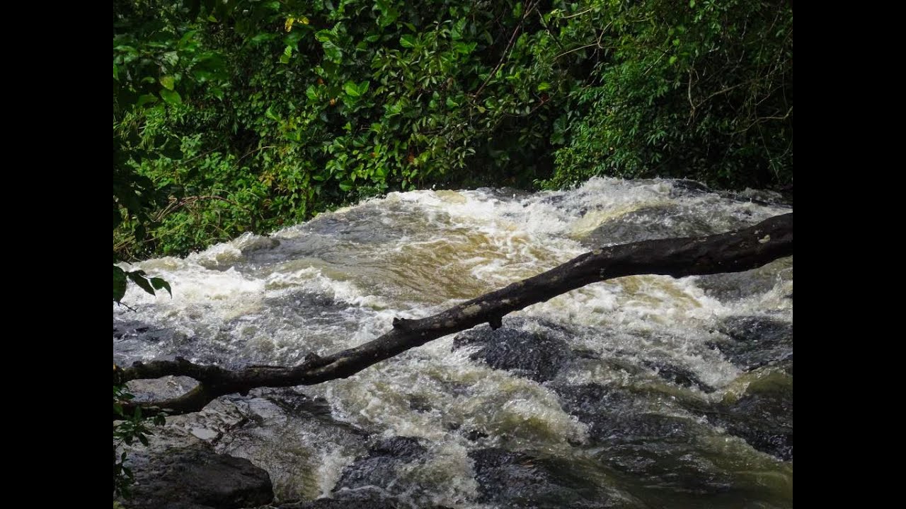 Uduwaka Ella / Dunumala Ella / Alawala Devin Penna Ella | දුනුමාල ඇල්ල ...