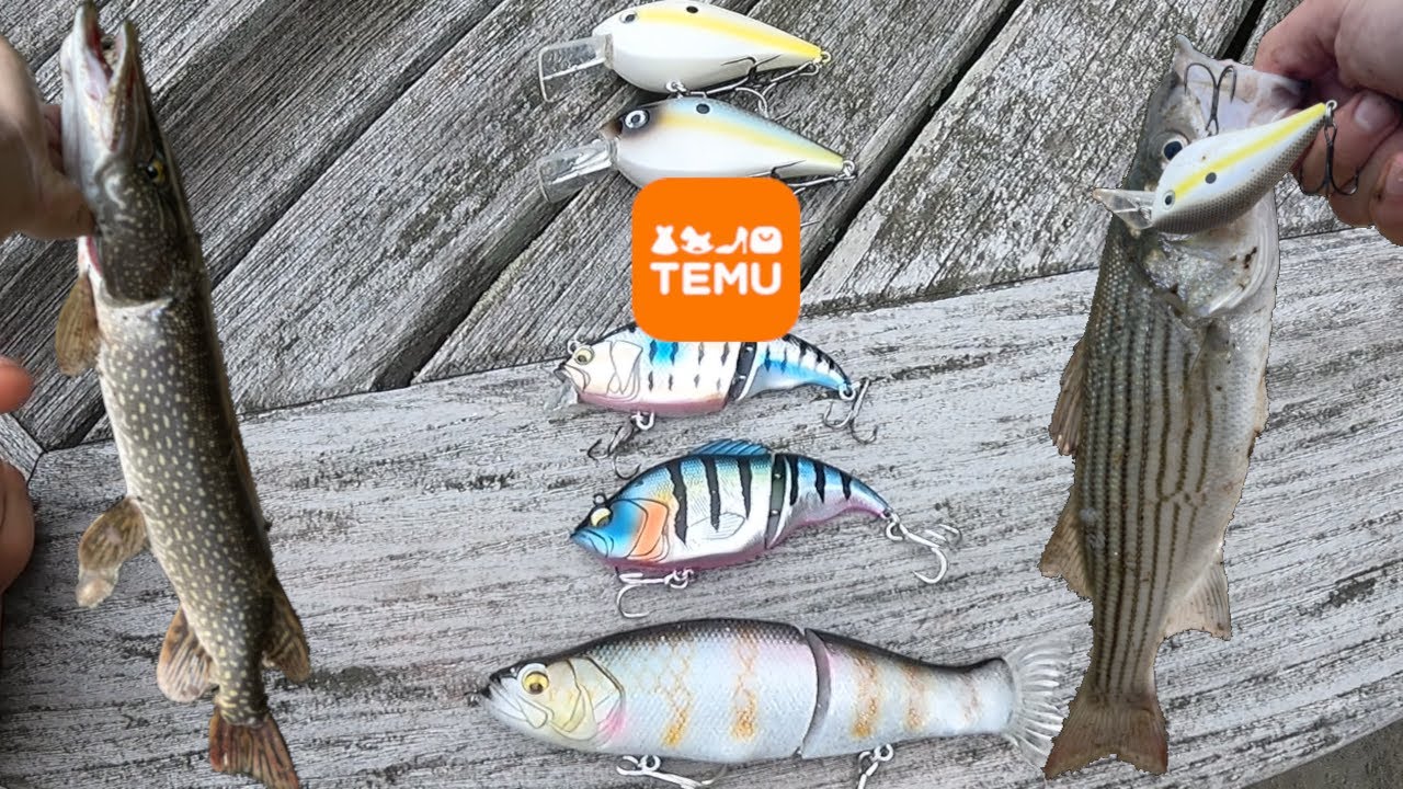 Multispecies TEMU Lure Fishing - YouTube
