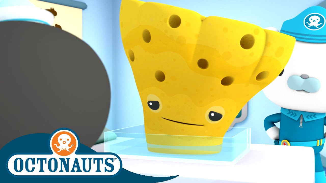 Octonauts - The Sea Sponge | Cartoons for Kids | Underwater Sea ...