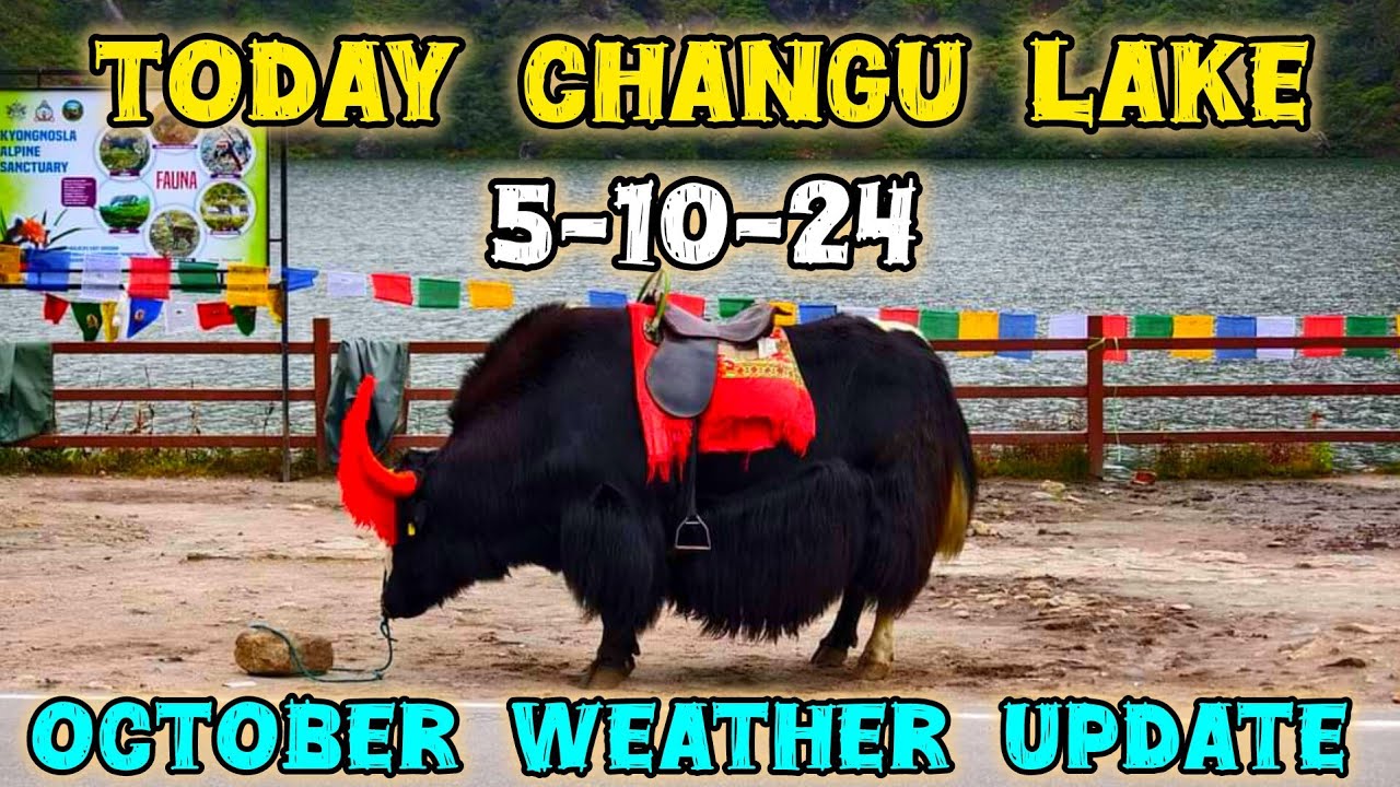 East Sikkim Weather Update | Changu Lake Weather In October || Nathula ...