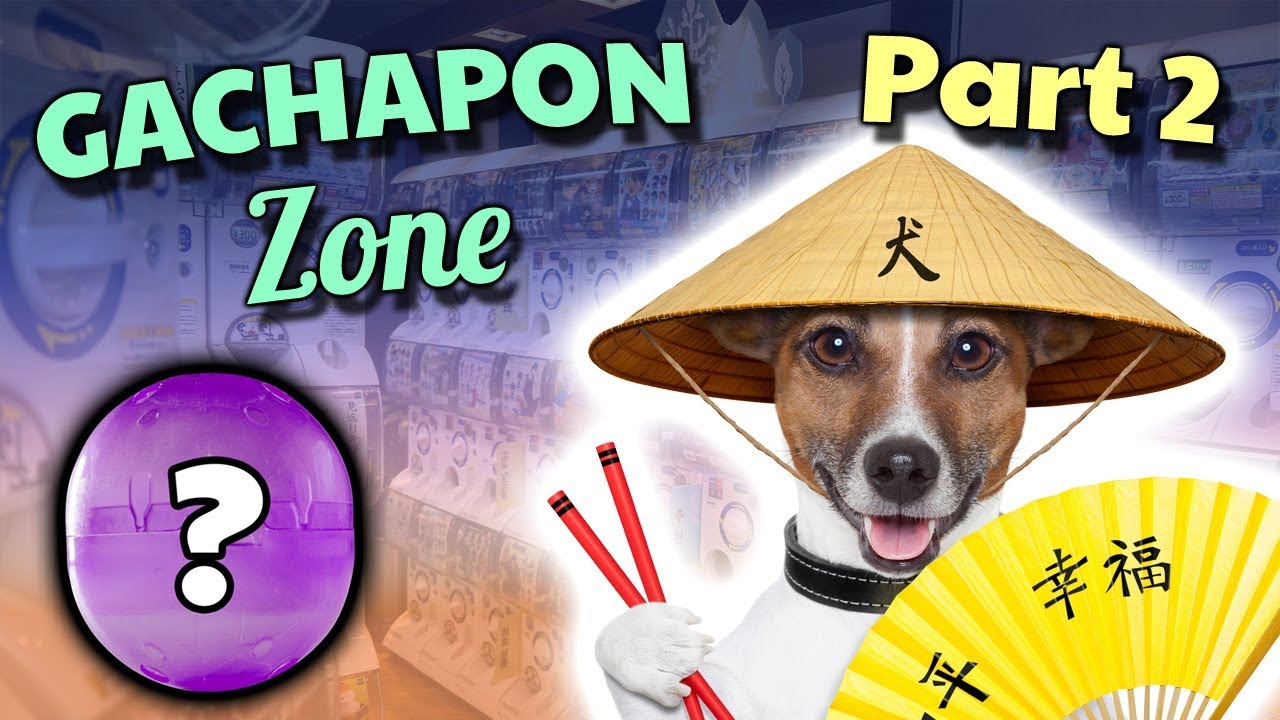 GACHAPON ZONE #2: Bird-Dog Capsule Toys! - YouTube
