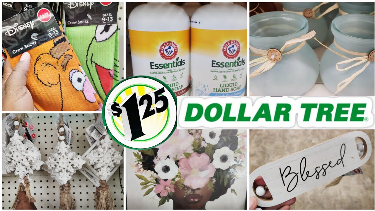 NEW MUST-HAVE $1.25 DOLLAR TREE FINDS JUST HIT SHELVES (FIRST TIME ...