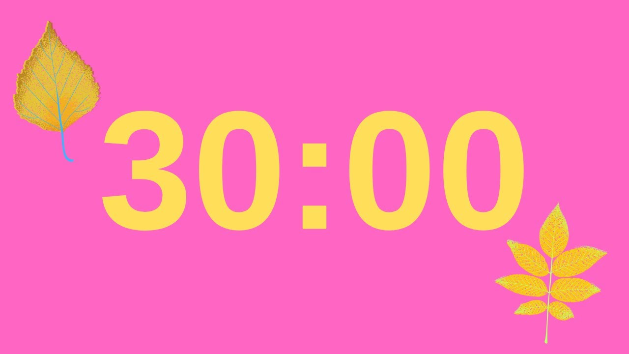 30 Minutes Timer | 30 Minutes Countdown | Countdown Time | Simple Timer ...