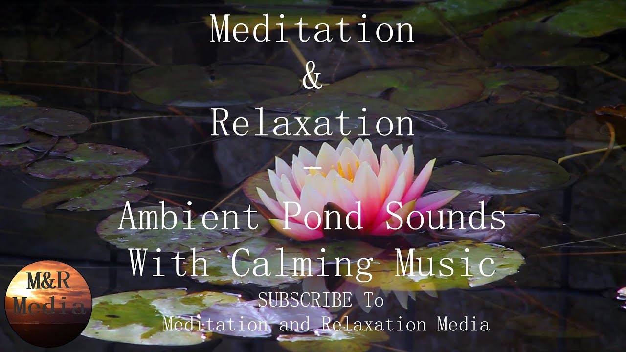 Calming Sounds To Help You Study, Calming Pond Ambience & Soft Music ...