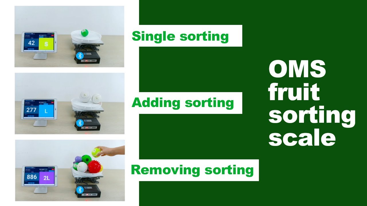 OMS fruit sorting scale, sort the fruits by wireless weighing. - YouTube