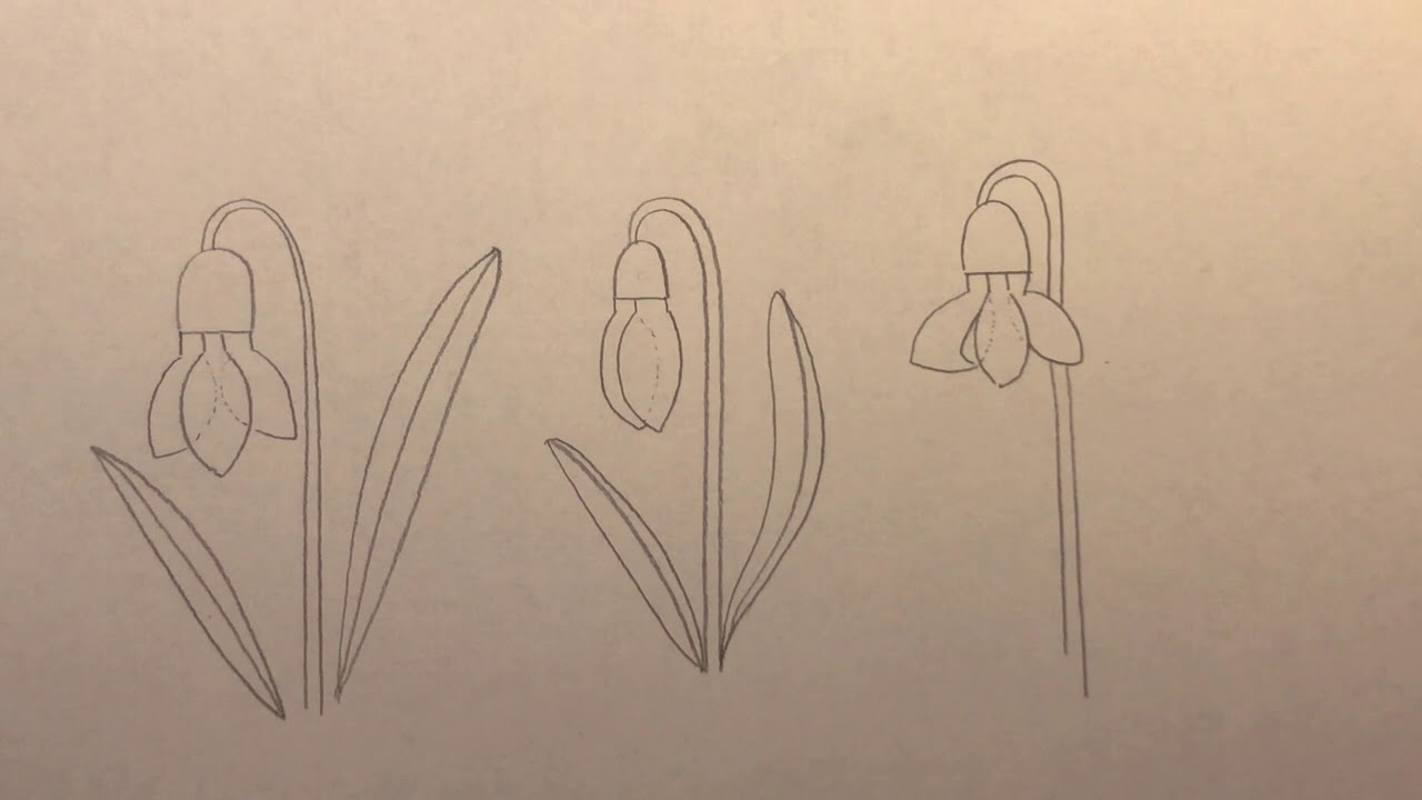 Simple Spring Flower Drawing - YouTube