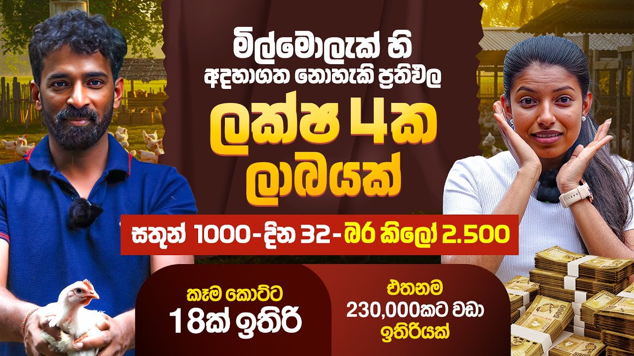 දවස් 32 ලාබය ලක්ෂ හතරයි | බ්‍රොයිලර් කුකුල් පාලනය | Milmolac - YouTube
