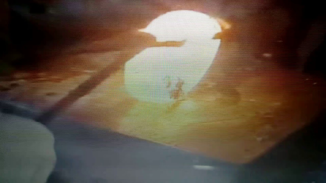 ASTM A694 F65 Flanges Manufacturer In India - YouTube