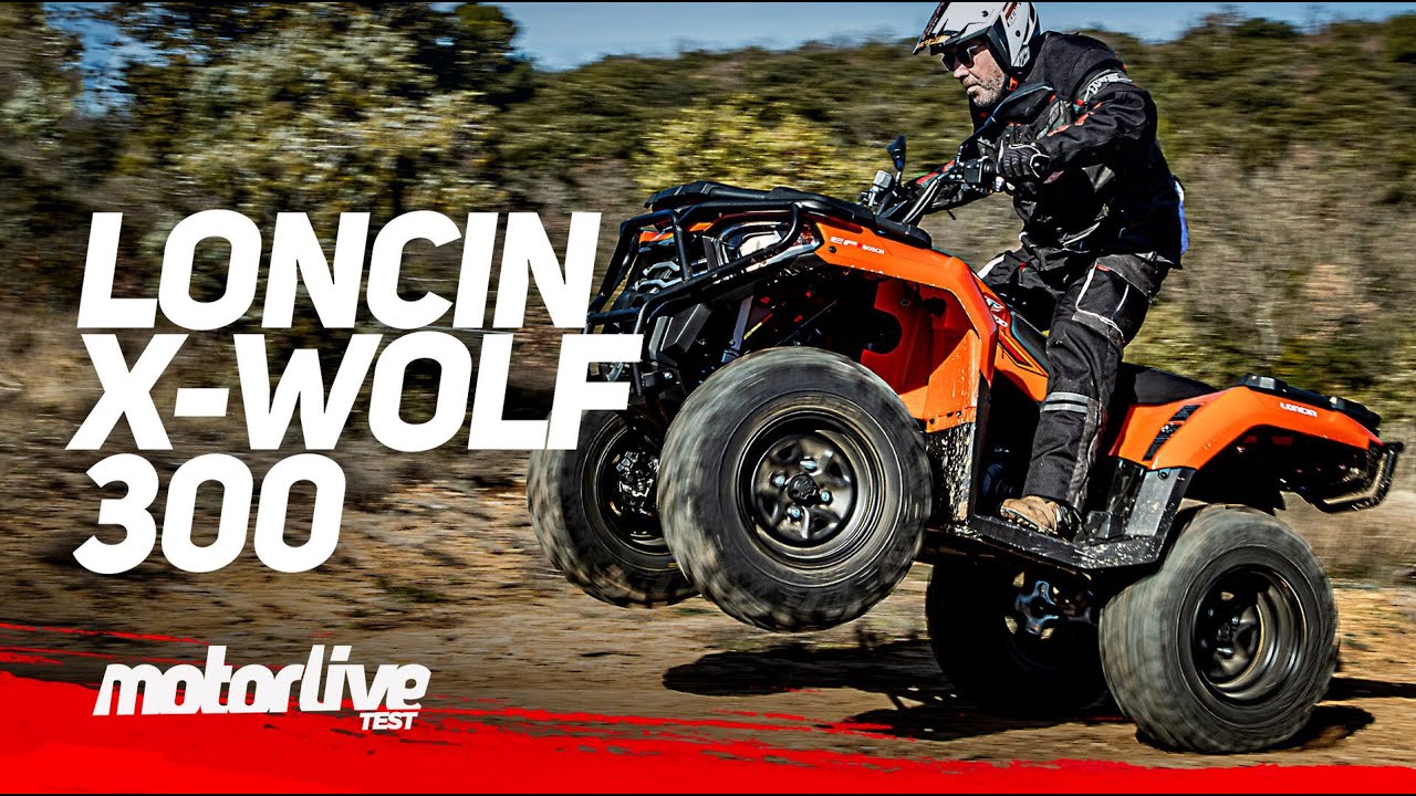 LONCIN XWolf 300 | TEST MOTORLIVE - YouTube