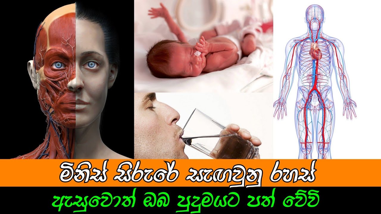 The hidden secret of the Human Body මිනිස් සිරුරේ සැඟවුනු රහස් #UTV ...