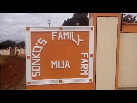 See The Agriculture Inside Mike Sonko's Family Farm Mua Hills,Machakos ...