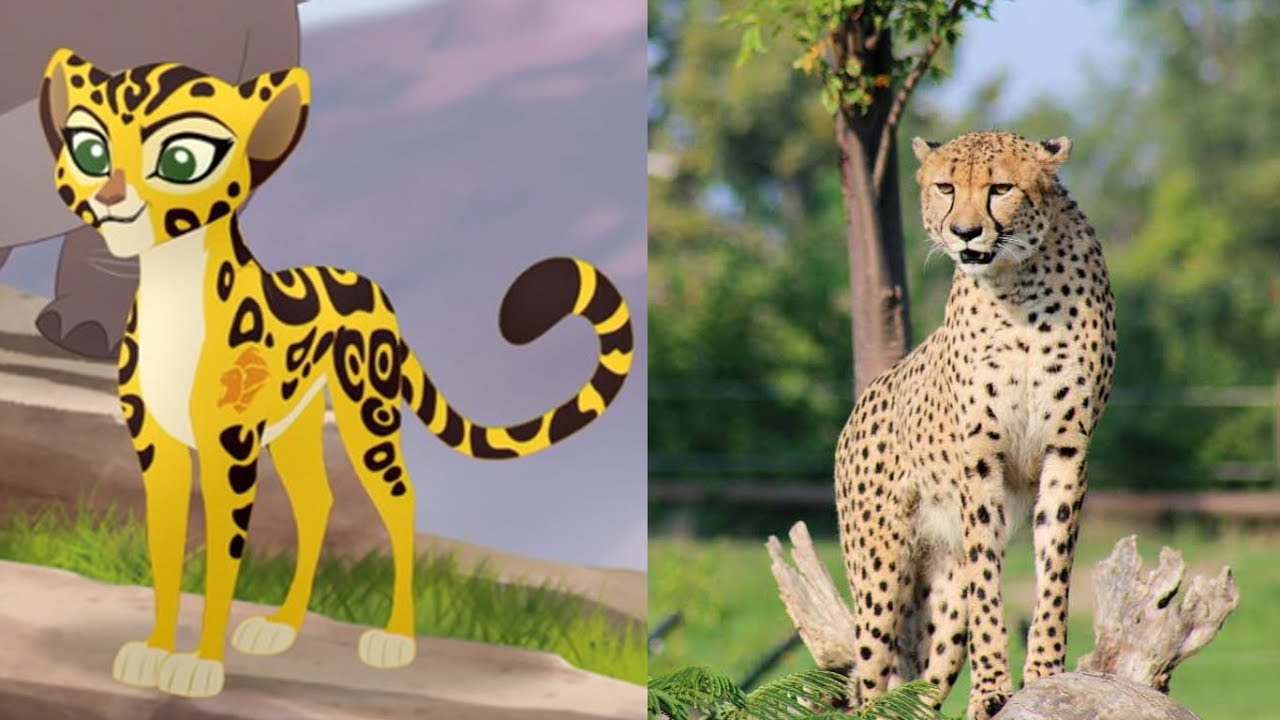 The Lion Guard in Real Life - YouTube