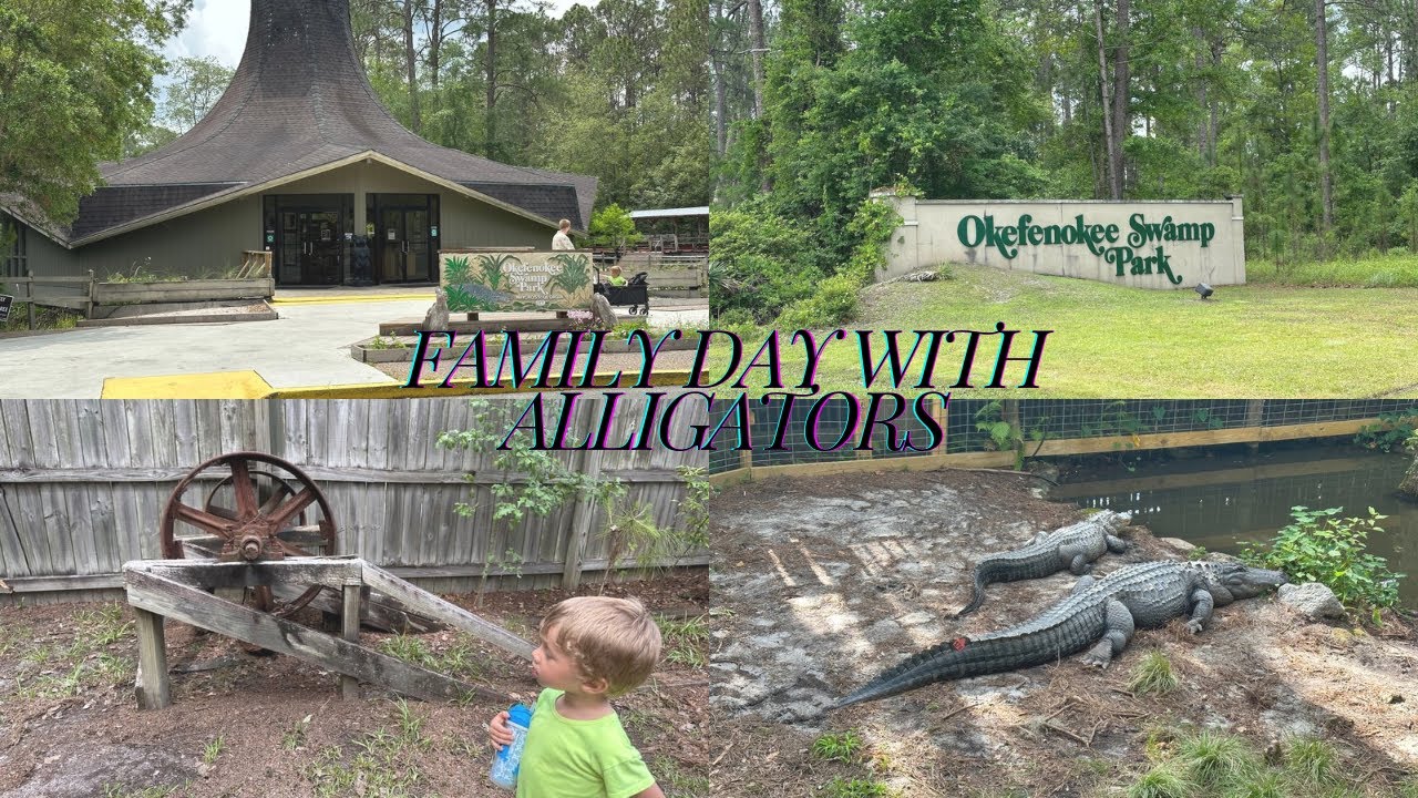 Family Fun Day In The Swamp - YouTube