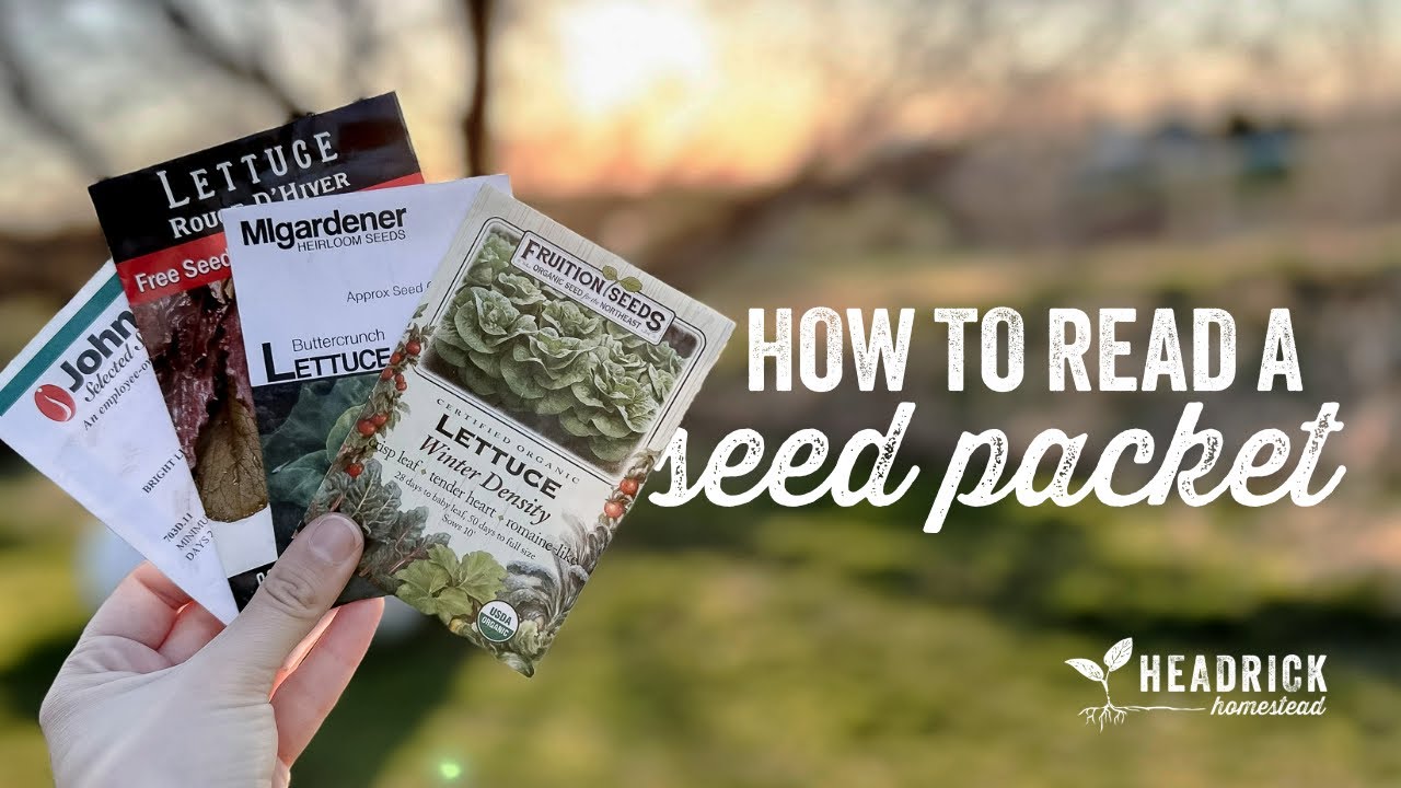 How to Read a Seed Packet - YouTube