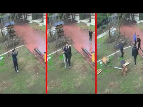 Adana’da parkta kuş yuvasını parçalayan 4 çocuk, ev hapsi cezasına çarptırıldı.