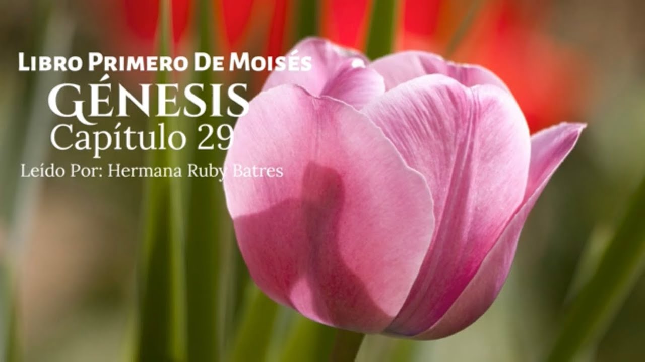 Génesis Capítulo 29 | Leído Por: Hermana Ruby Batres | Abril 8, 2023 ...