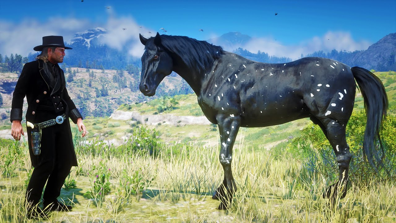 Arthur Morgan Tames the Beautiful Appaloosa Black Snowflake Horse in ...