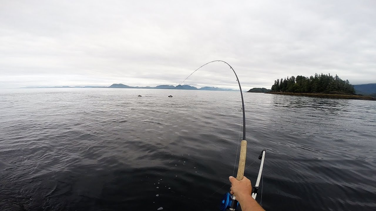 Salmon Fishing Prince Rupert 2016 - YouTube