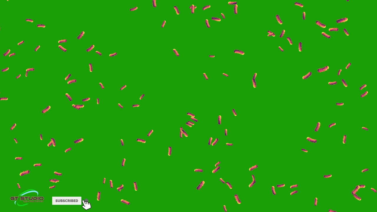 4K Greens Screen Of Bacteria - YouTube