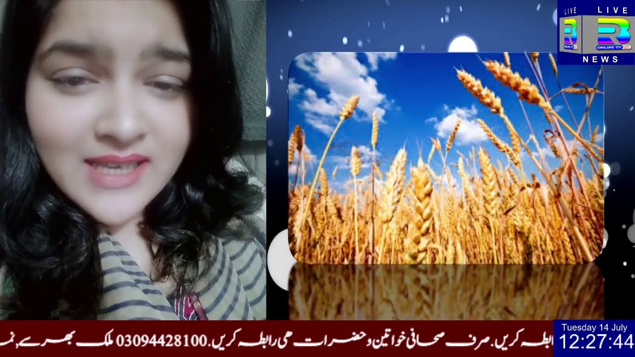 Rubab Khan Intro RB News HD - YouTube