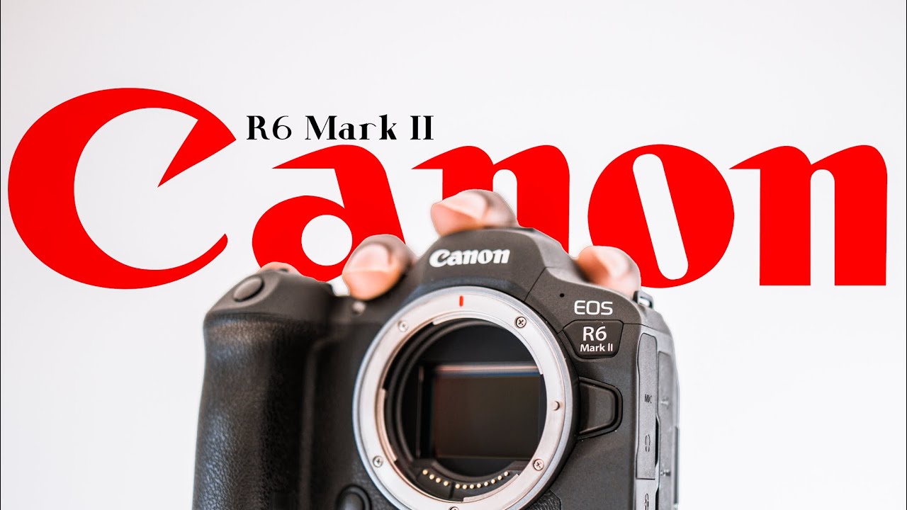 Canon R6 MII Review: A Wedding Photographer's Perspective- Should You ...