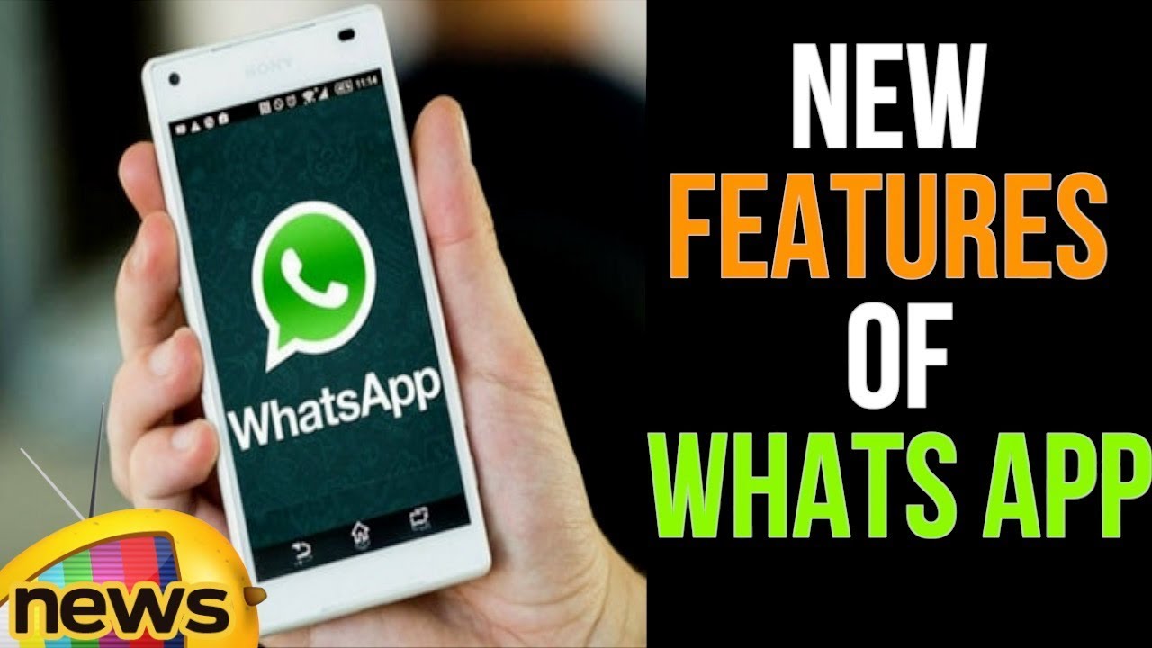 Amazing New Features Of Whats App Update For Android Users | Mango News ...