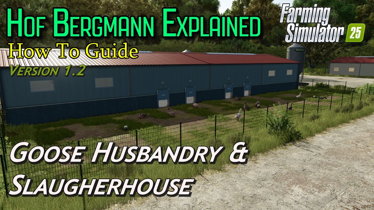 Goose Husbandry and Slaughterhouse | Hof Bergmann V 1.2 | Farming ...
