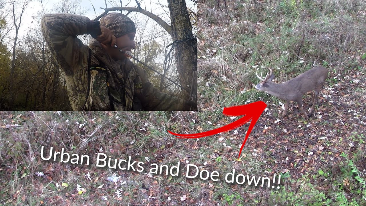 Urban Bow hunting Success with Big City Whitetail doe S2-E6 - YouTube