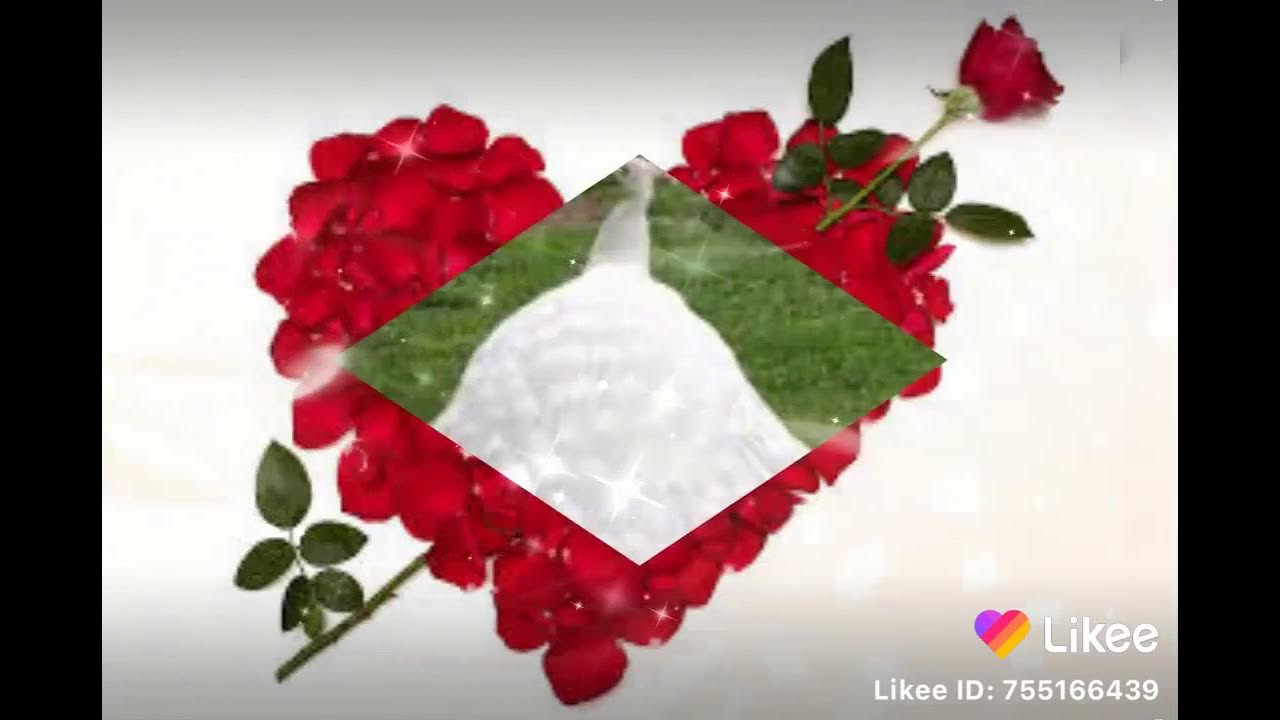 чиройли гуллар - YouTube