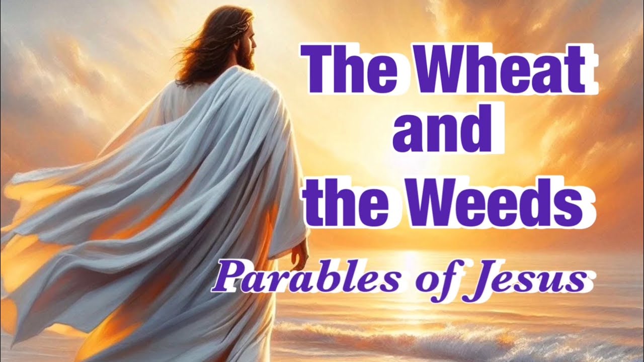 The Parable of the Wheat and the Weeds/ Parables of Jesus/ Matthew 13 ...