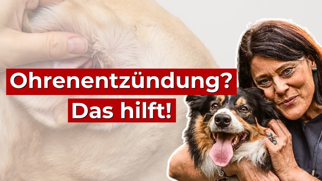 Ohrentzündung? Diese Methode wirkt sofort! - YouTube