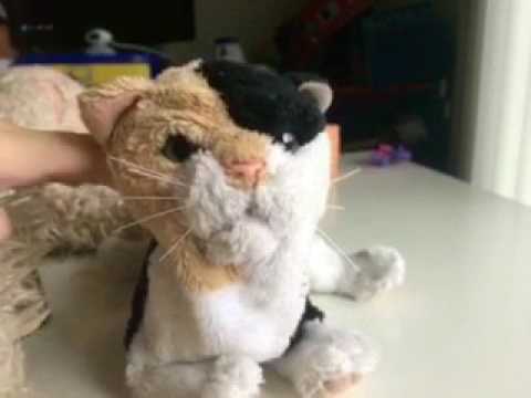 FUR REAL Newborn Kitten realistic cat MEOW! - YouTube