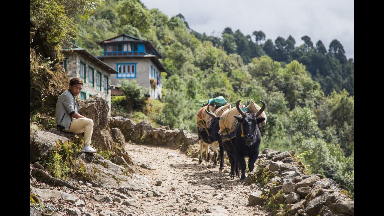 Trekking Nepal 2017 - Giro dei 3 passi, Everest B.C. e Island Peak ...