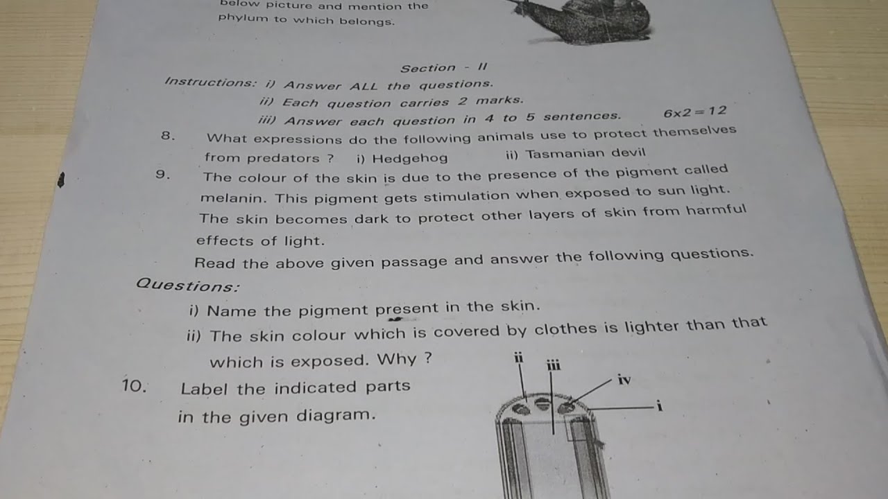 9th class Biology final exam question paper | SA2 2019 | Science paper ...