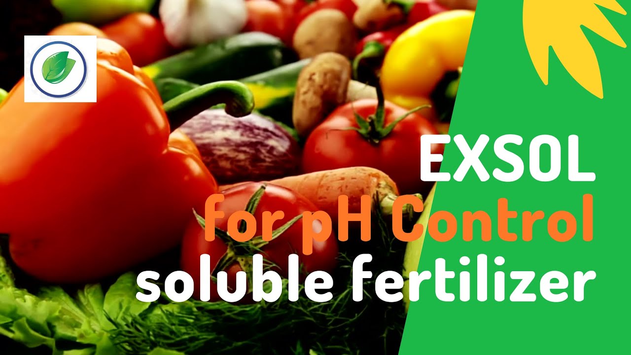 EXSOL Water Soluble Fertilizer for pH Control - YouTube
