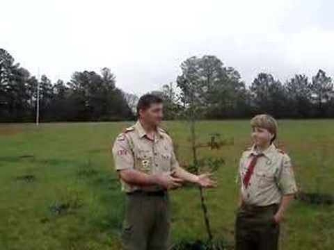 Jack scouts community service - YouTube