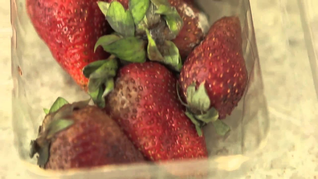 Tupperware Fresh Smart Vídeo Treino Como Usar e Benefícios - YouTube