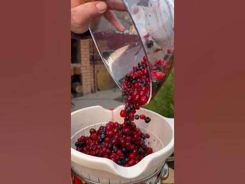 ЛУЧШАЯ домашняя НАСТОЙКА из СЕВЕРНЫХ ЯГОД - YouTube