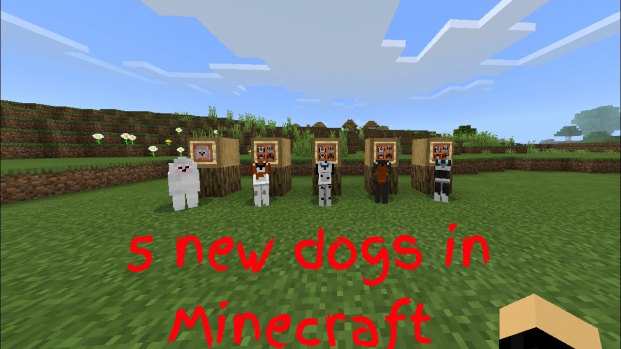 5 new dogs in Minecraft - YouTube