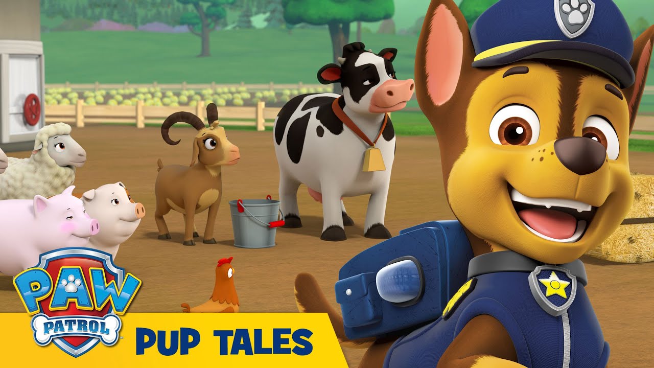 🐶 Pups Save Farmer Alex | PAW Patrol | Cartoons for Kids - YouTube