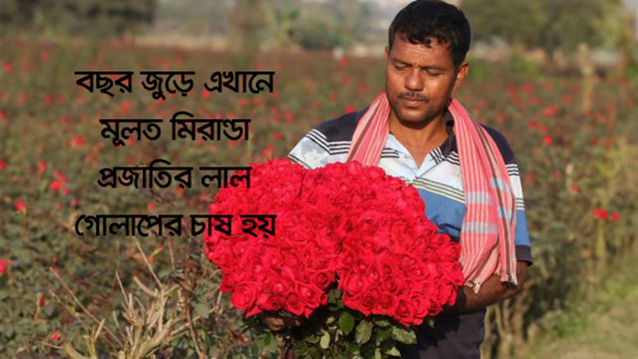 golap gram-গোলাপ গ্রাম - YouTube