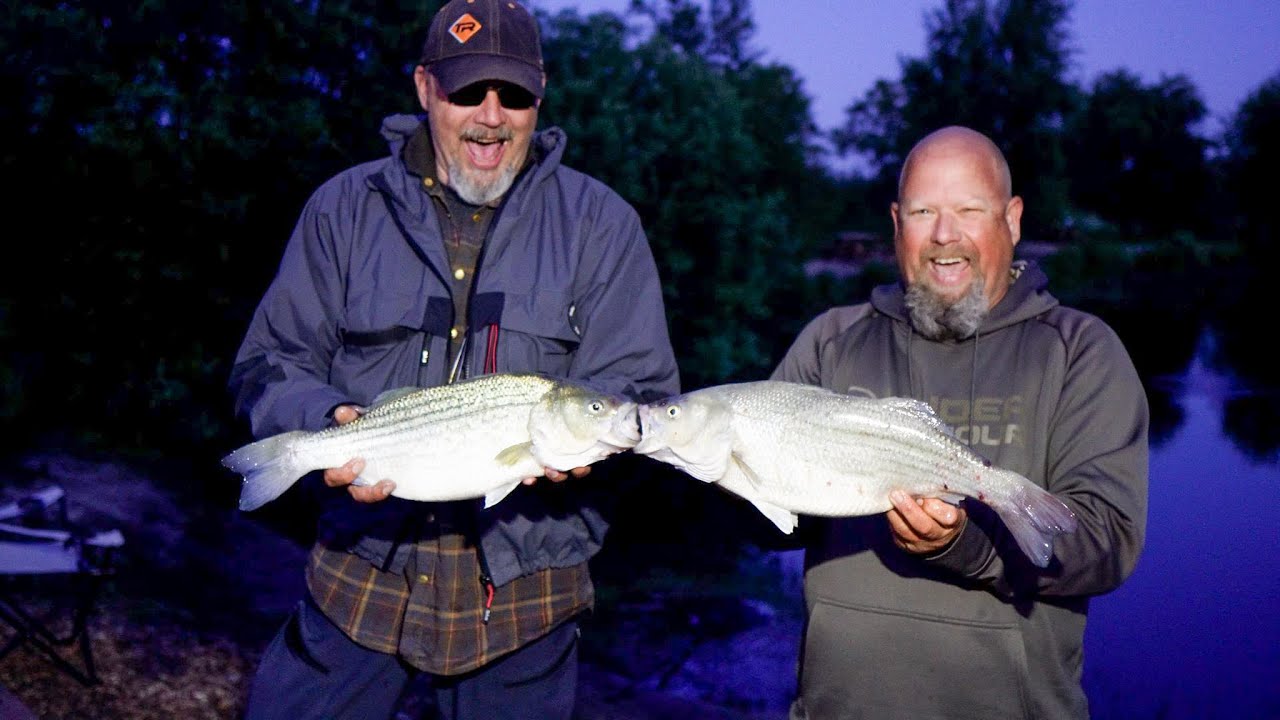 Sunshine Bass i Stilbjerg lystfiskersø - YouTube