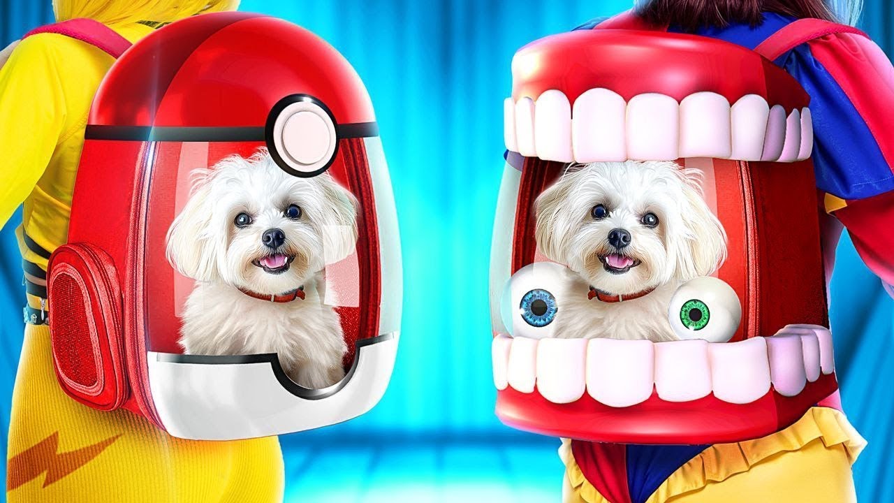 Pokemon vs Pomni! Kami Membangun Kamar Rahasia Untuk Anjing - YouTube
